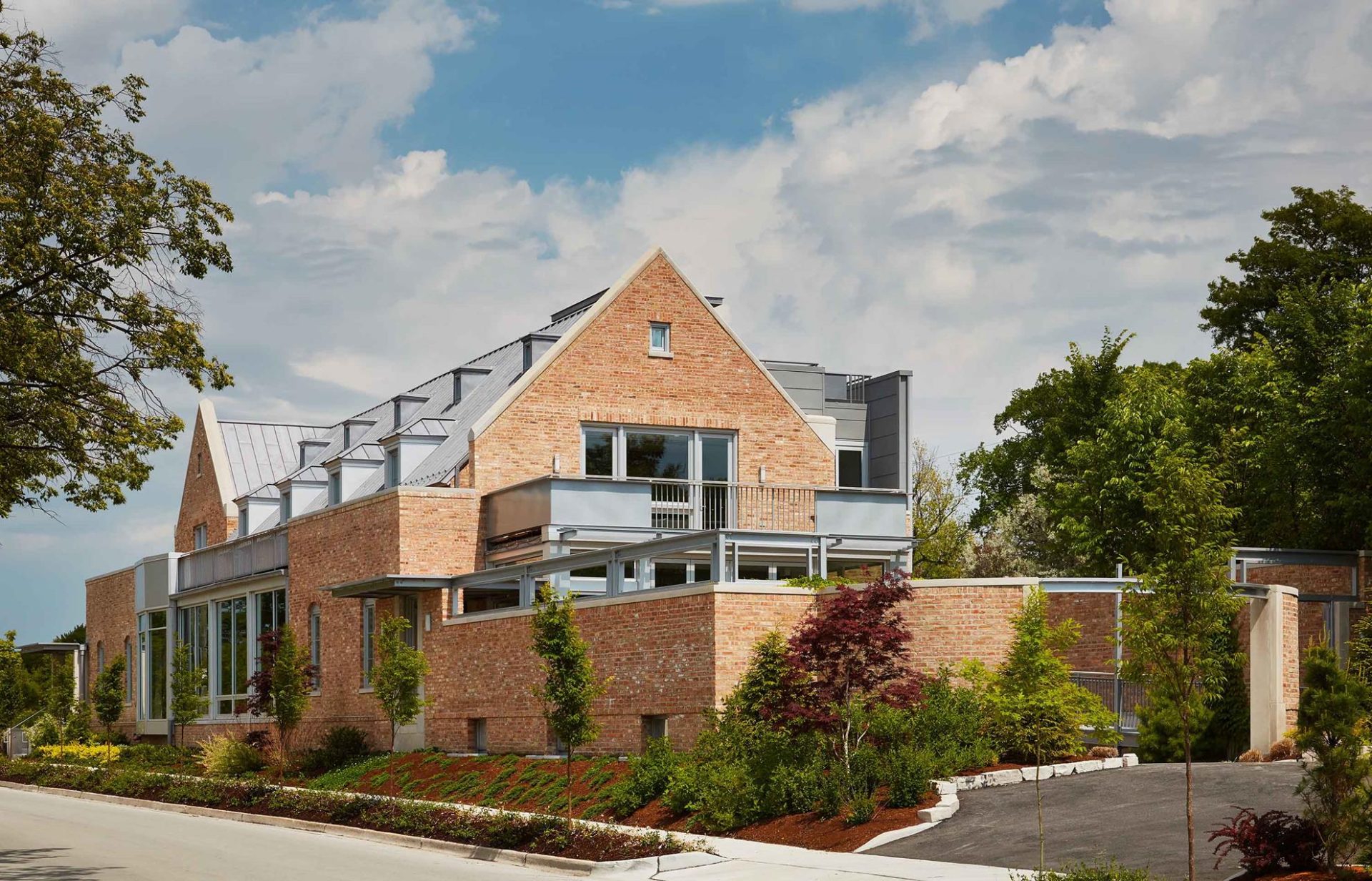 Chestnut - Michael Abraham