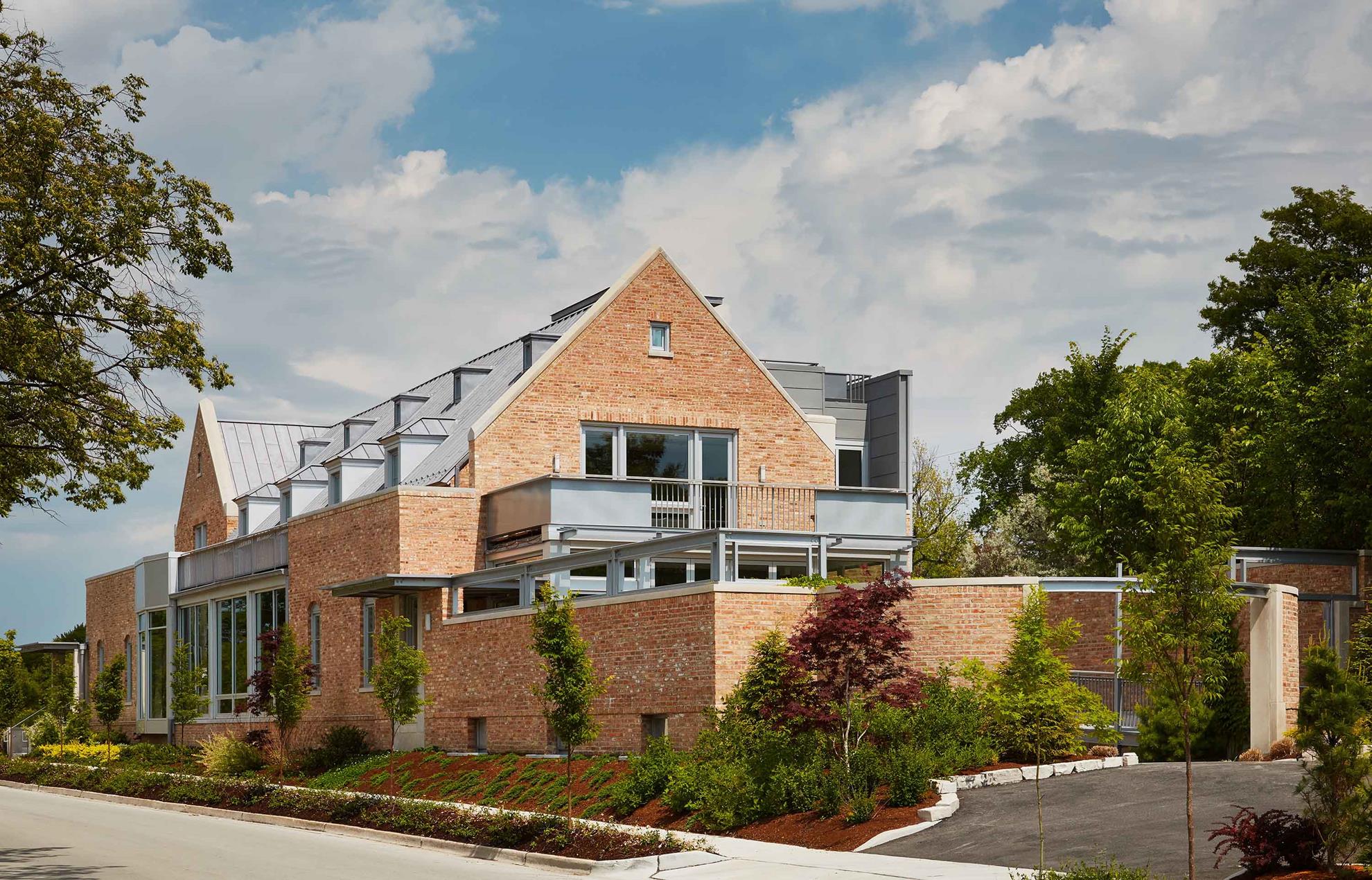 Chestnut - Michael Abraham