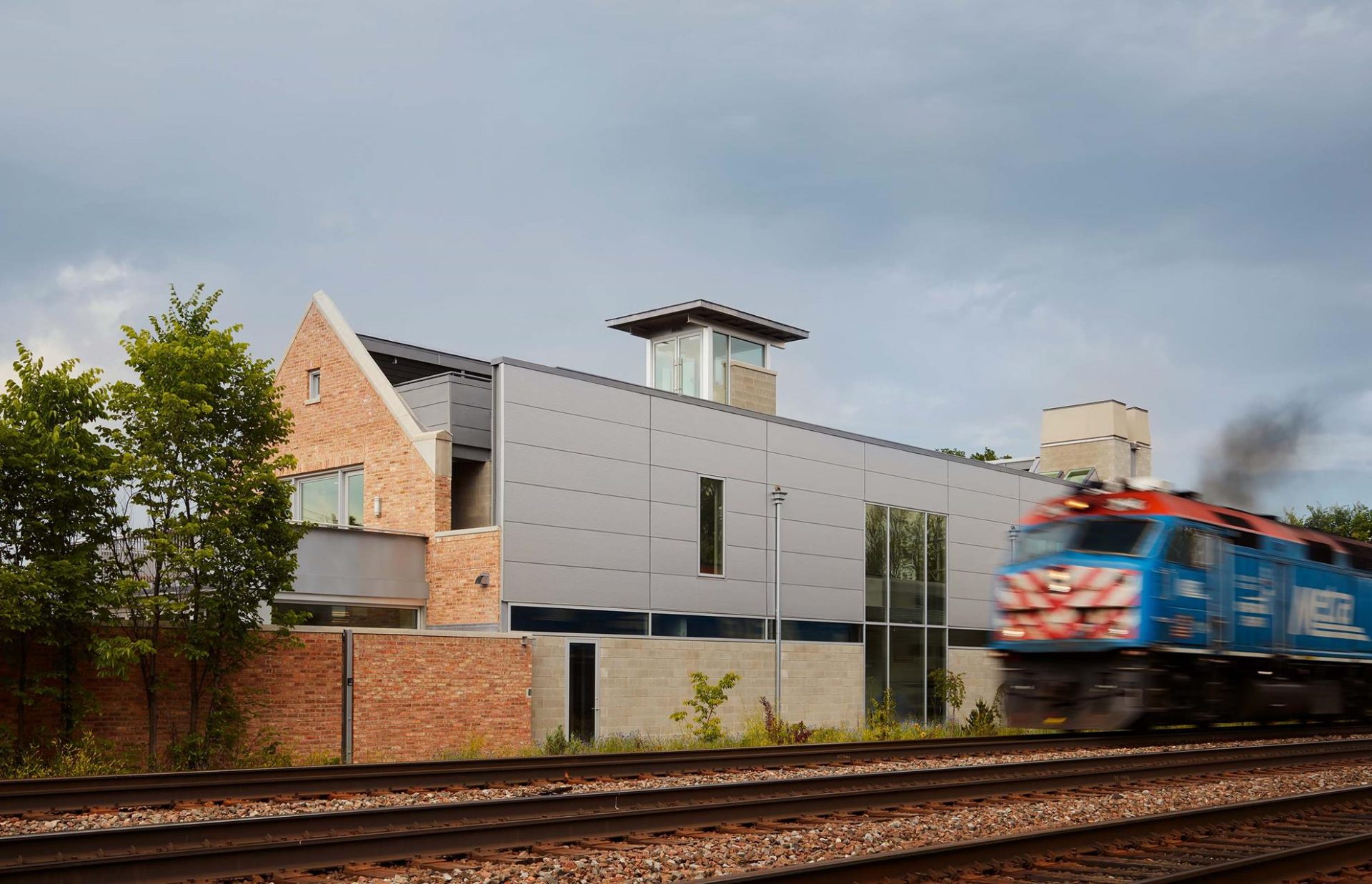 Chestnut - Michael Abraham