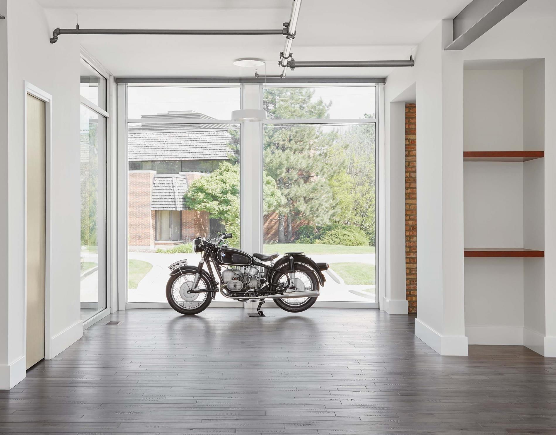 Chestnut - Michael Abraham