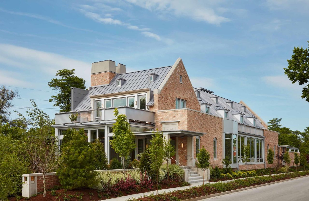 Chestnut - Michael Abraham