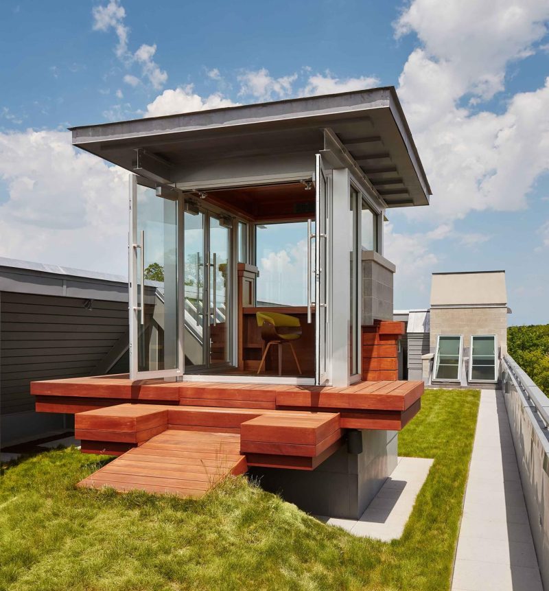 Chestnut - Michael Abraham