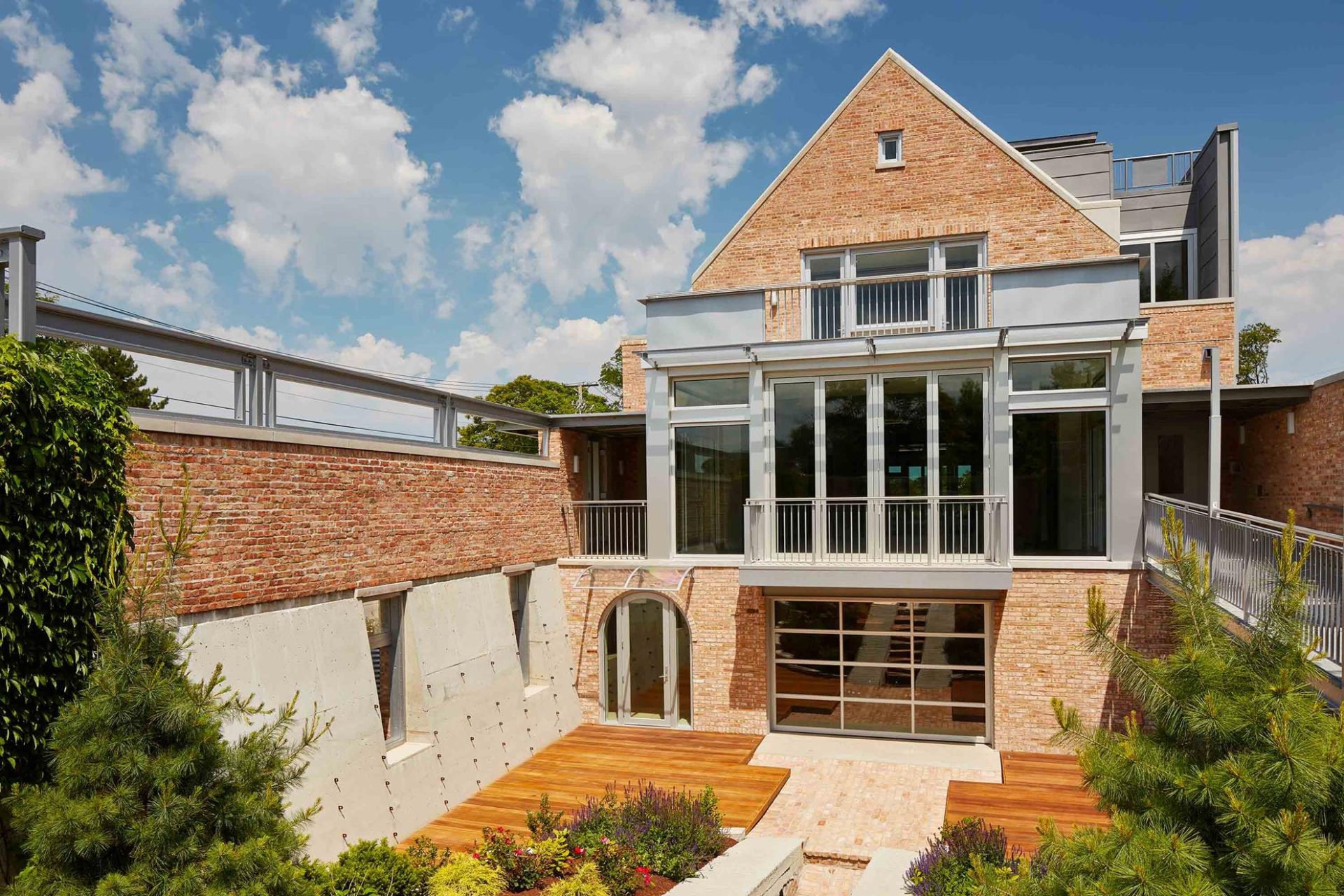 Chestnut - Michael Abraham