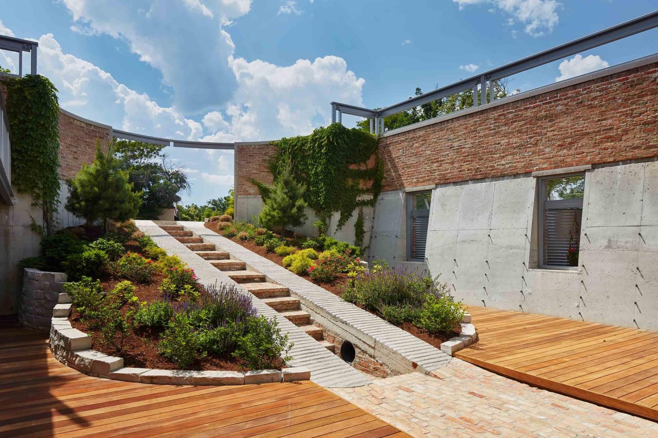 Chestnut - Michael Abraham