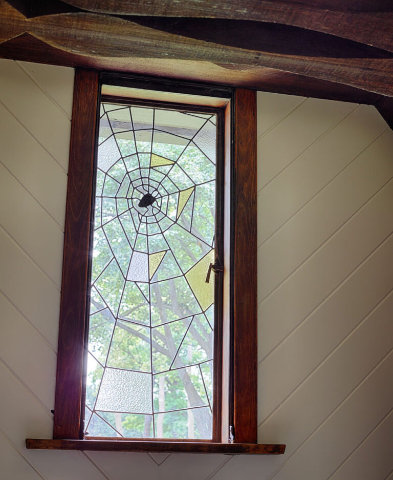 Zook on Oak - Michael Abraham